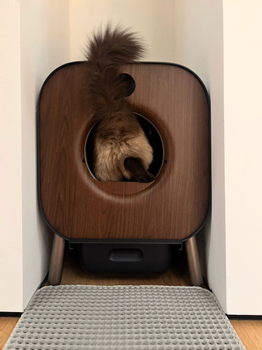 Туалет лоток для кошек PAWBBY P1 Ultra Автоматический умный кошачий ...