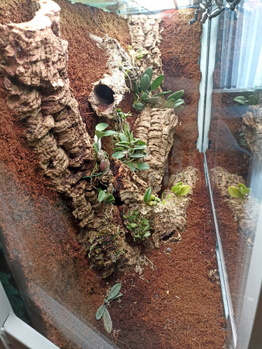 Система опрыскивания для террариумов Mius Mini, Автоматическая система ...