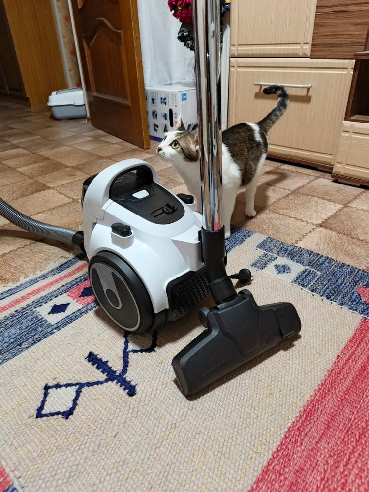 Пылесос для дома BOSCH BSGL3MULT3 2400 Вт, уборка: сухая, пылесборник - мешок, 4 л купить на ...