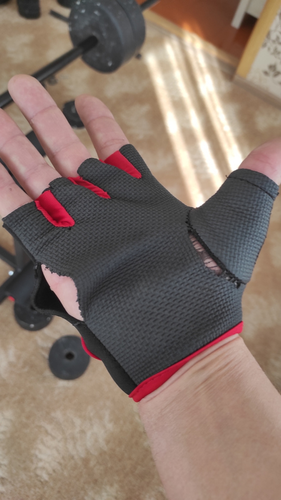 Скамья для жима и пресса спортивная складная с партой скотта INVITEC FS ...