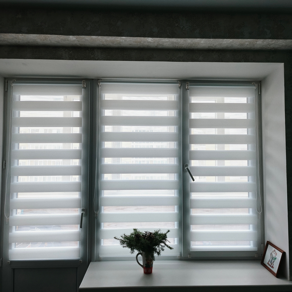 Рулонные шторы ЛюксЛайн PBML01 , размер 48х160 см, белый, Полиэстер купить c доставкой на OZON ...