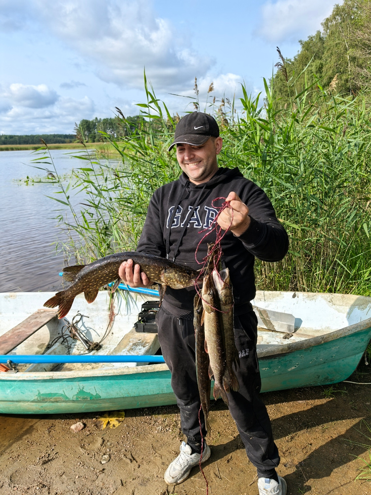 Колеблющаяся Блесна Spike Академик, 24 г купить c доставкой на OZON по ...