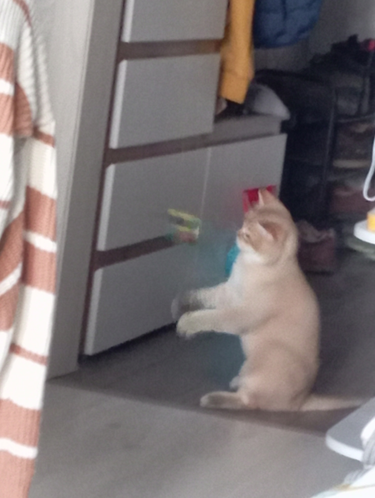 Central Тяга рулевая, арт. CR-N43, 1 шт. купить на OZON по низкой цене (1434776123)