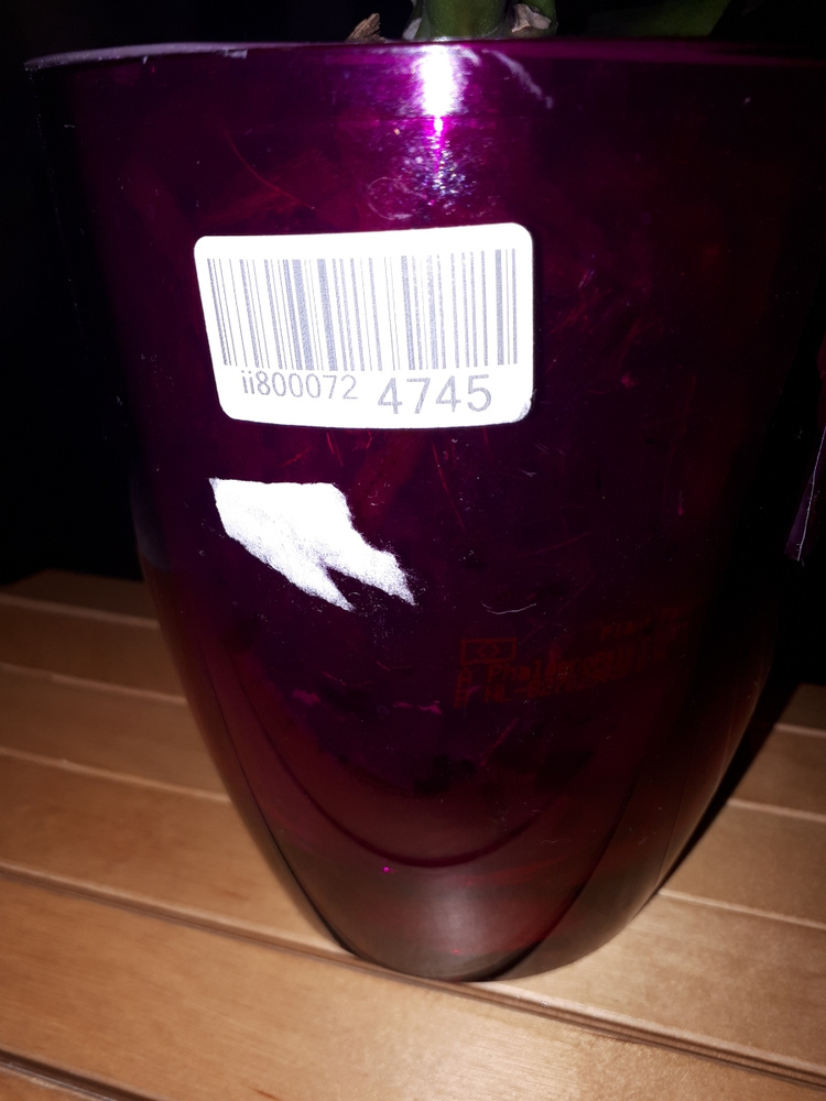 Горшок для орхидеи, кашпо ElfPlast 1.1 л, прозрачно-фиолетовый купить на OZON по низкой цене ...