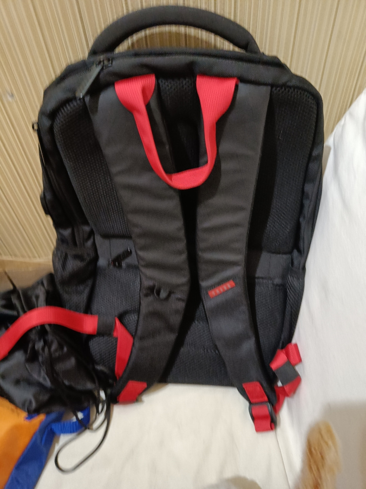 Рюкзак мужской городской TRIBE TREKKER Red (красные лямки) купить на OZON по низкой цене ...