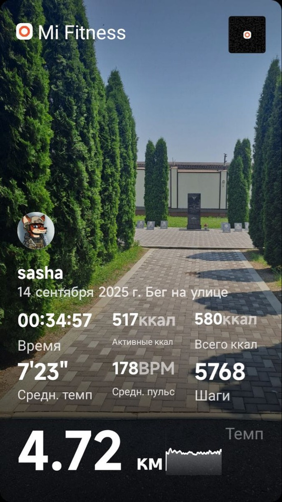 Кроссовки Мужской BMAI EVA, ТПУ (термополиуретан) Скандинавская ходьба, Легкая атлетика, размер ...