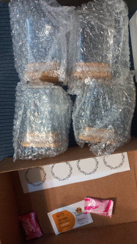 Банка для продуктов универсальная Owl Sov, 200 мл, 4 предм. купить c доставкой на OZON по низкой ...