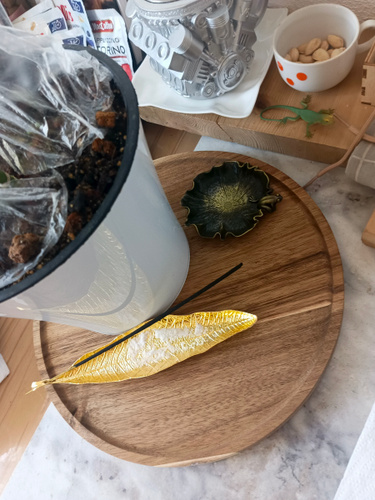 Поднос, 30 см, 1 шт купить на OZON по низкой цене (3146441074)