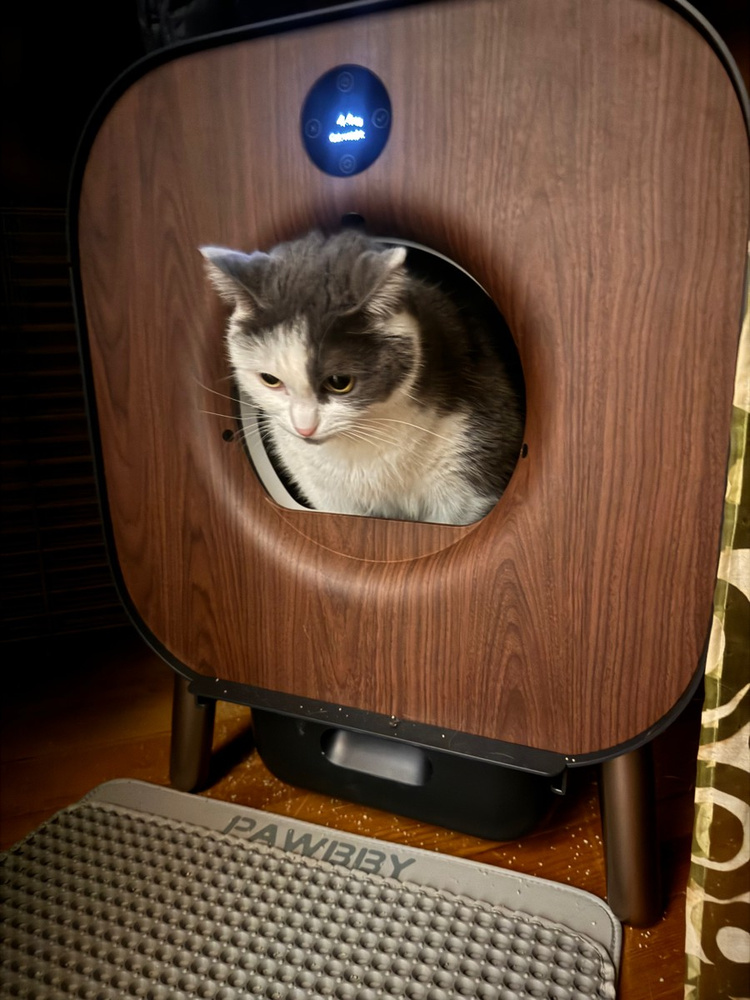 Туалет лоток для кошек PAWBBY P1 Ultra Автоматический умный кошачий ...