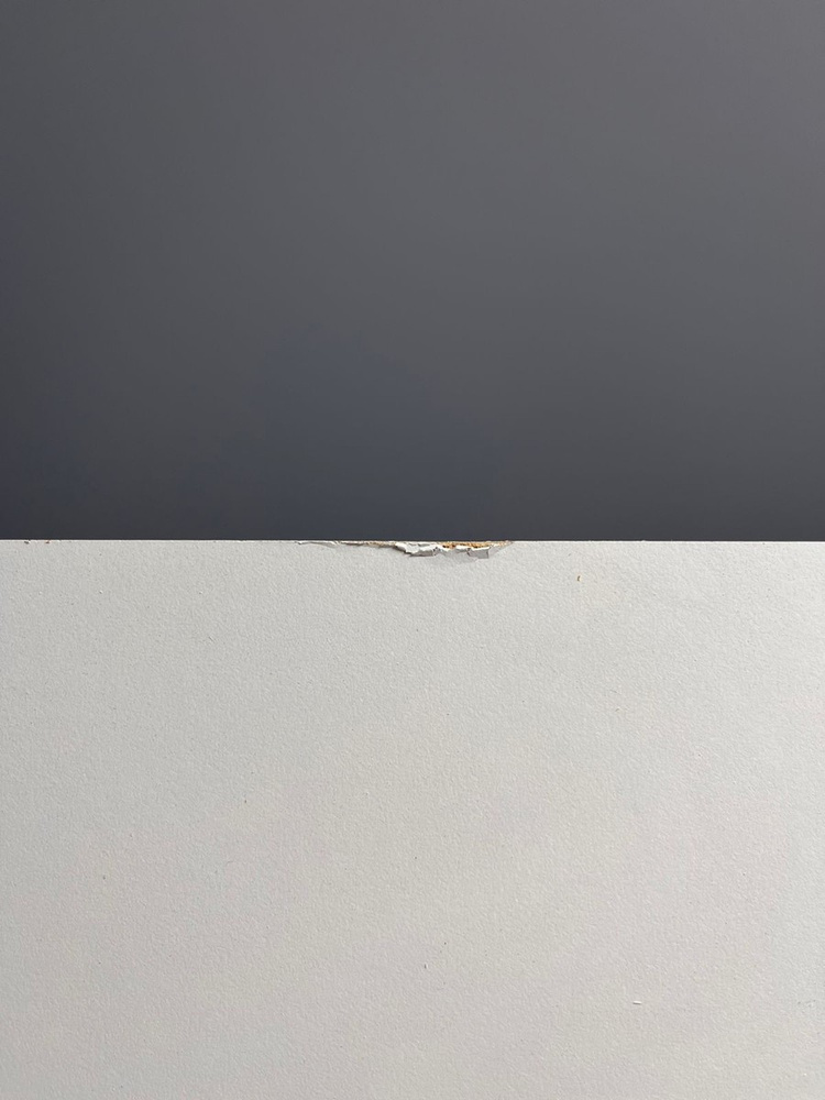 Шкаф распашной УЮТНАЯ ЛОГИКА Дева, 200x50x260 см купить c доставкой на ...