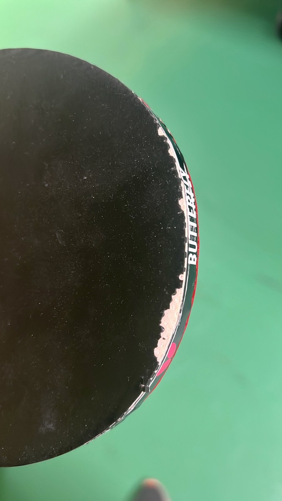 Ракетка для настольного тенниса Butterfly Zhang Jike ZJX6 купить на OZON по низкой цене (232788310)