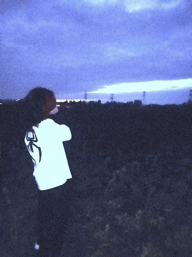 Футболка Женский, Мужской SYJYW желто-зеленый Средний, размер 52 Хлопок Насекомые свободный ...