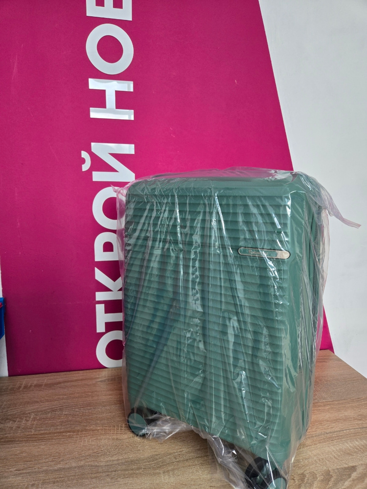 Robinzon Чемодан Полипропилен 65 см 63 л купить на OZON по низкой цене (1742635193)