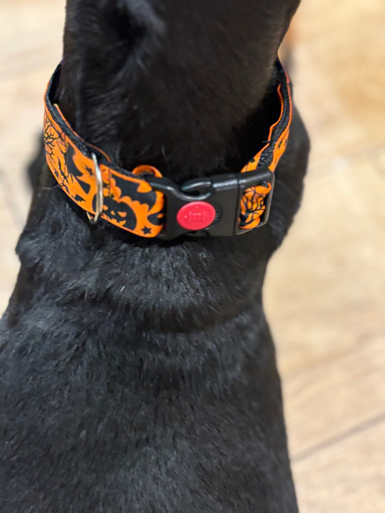 Лента ID 1562 репсовая с рисунком 1,5см.*2м, цв. голубой купить на OZON ...