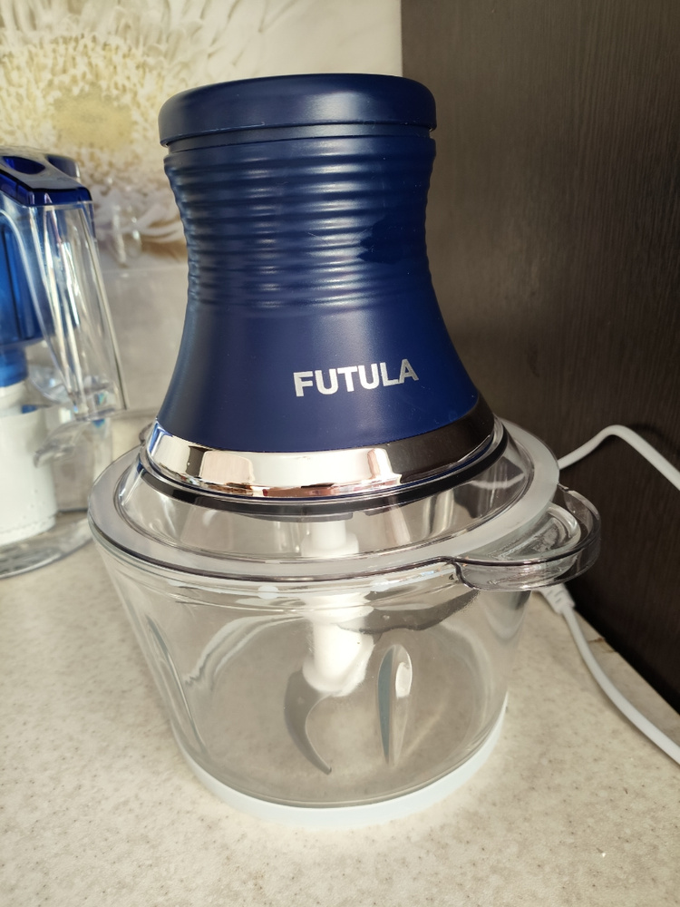 Измельчитель кухонный электрический FUTULA EVS4 купить на OZON по низкой цене (1233183384)