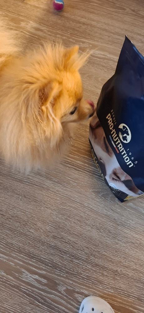 Flatazor Prestige Adult All Sizes Healthy Skin (Лосось), для собак 3 кг 450301 купить на OZON по ...