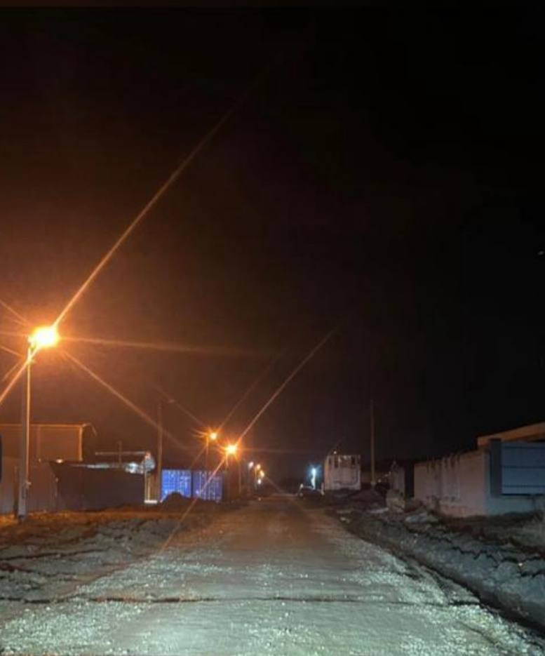 Лампа автомобильная Autoled-opt 12 В, 24 В, 2 шт. лампы купить c доставкой на OZON по низкой ...