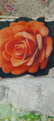 Ковер HADQ8S42/EDPDN, 60х купить c доставкой на OZON по низкой цене ...