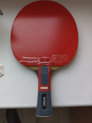 Ракетка для настольного тенниса Butterfly Zhang Jike ZJX6 купить на OZON по низкой цене (232788310)