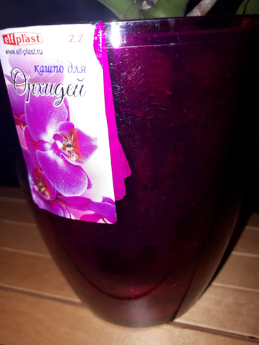 Горшок для орхидеи, кашпо ElfPlast 1.1 л, прозрачно-фиолетовый купить на OZON по низкой цене ...