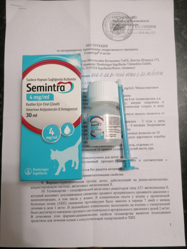 СЕМИНТРА , SEMINTRA 10 мг/мл, раствор, 35 мл купить на OZON по низкой ...