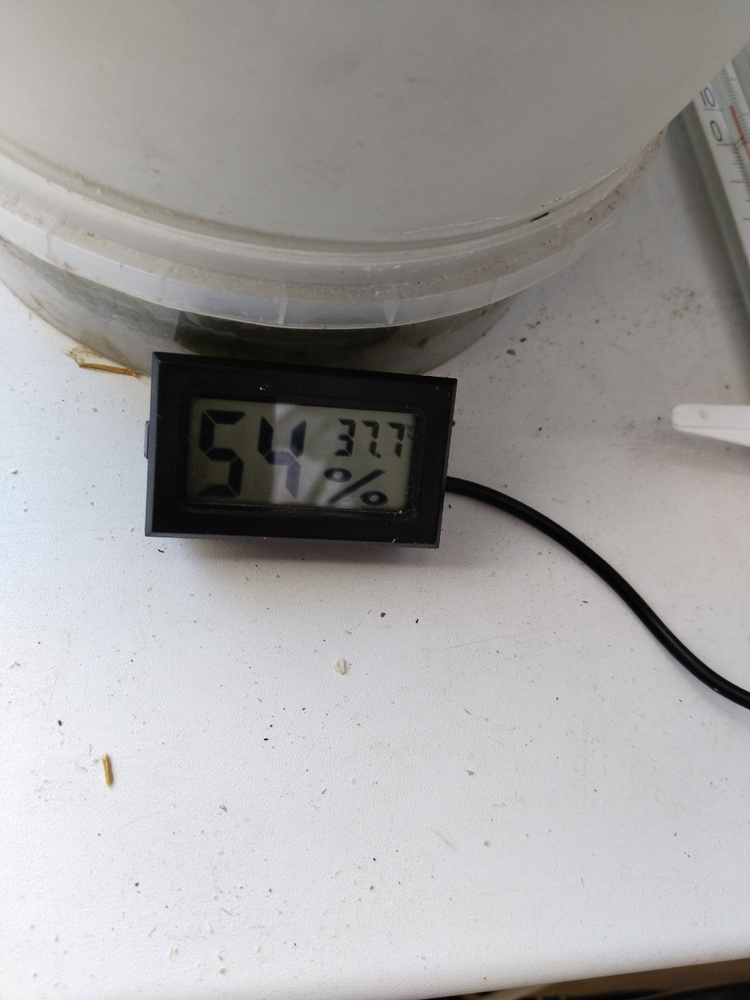 Термометр гигрометр с выносным датчиком температуры и влажности FY-12, градусник для инкубатора ...