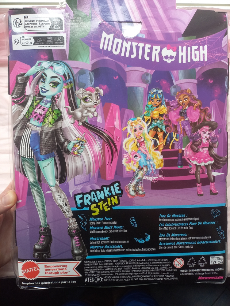 Кукла Monster High Gore-geous Oasis Draculaura Монстер Хай с чемоданом ...