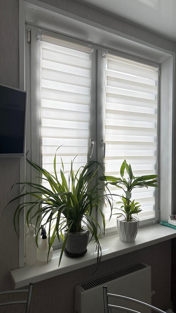 Рулонные шторы ЛюксЛайн PBML01 , размер 52х160 см, белый купить c доставкой на OZON по низкой ...