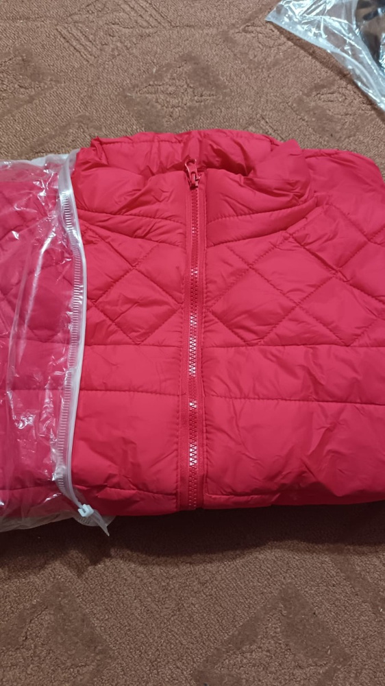 Куртка Мужской ZinBee суровый темно-синий Полиэстер FR, размер 52 Зима Синтепух Китай купить c ...