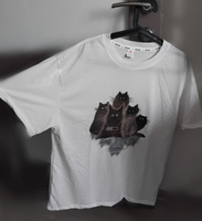 Футболка Женский, Мужской SYJWY черный Короткий, размер 46 Лавсан Логотип Спортивный Китай ...