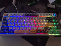 7 отзыв на LEOBOG Игровая клавиатура проводная Hi75, Magic Bear, Nimbus ...