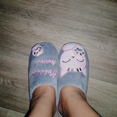 Тапочки Женский Feabrate, размер 40, 41 R (средняя) синий Круглый нос, Маломерит Зима купить c ...