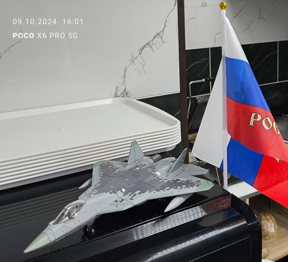 Су-57 Истребитель Модель самолета Коллекционная 1/72 Building Block ...