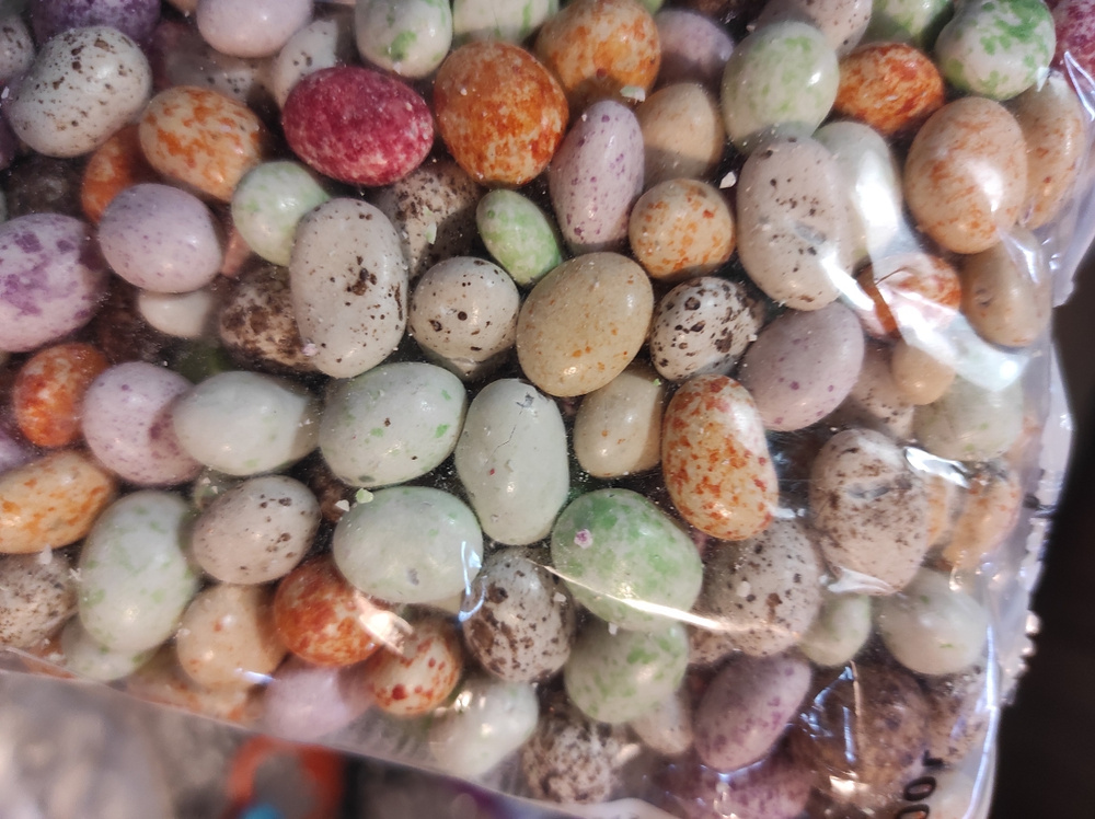 KDV Конфеты Загорская сливочная, 500 гр купить на OZON по низкой цене (1069931658)