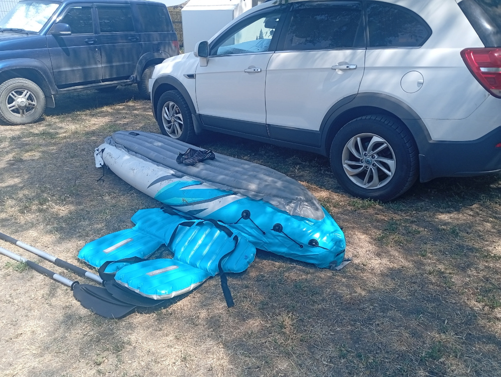 Байдарка надувная двухместная Bestway 65131 Champion-X2 331*88 см, насос и весла купить на OZON ...