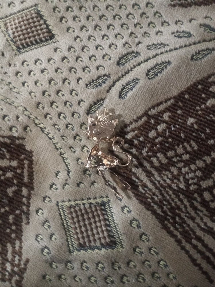 Брошь купить на OZON по низкой цене (2929359882)