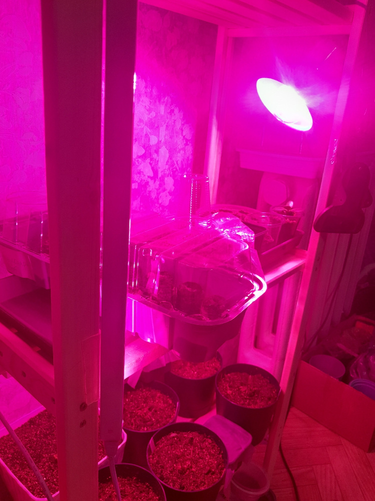 Стеллаж брусок_6, 55х26х216 см, GVS купить c доставкой на OZON по низкой цене (1442102733)