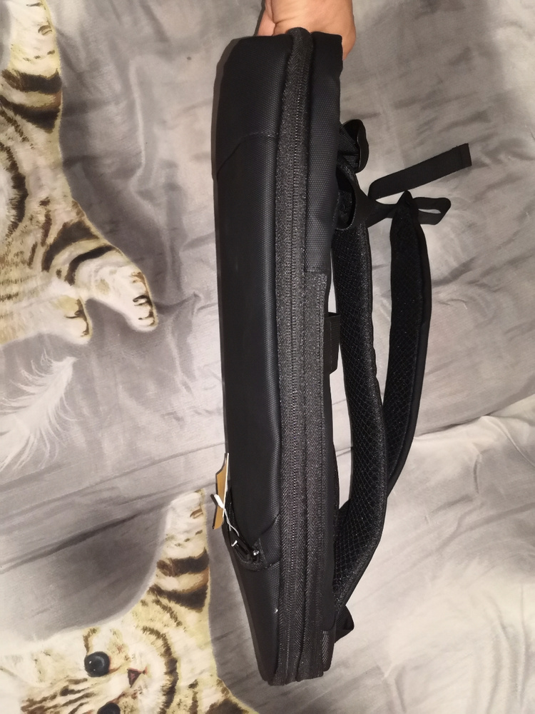 Рюкзак купить на OZON по низкой цене (2816885331)