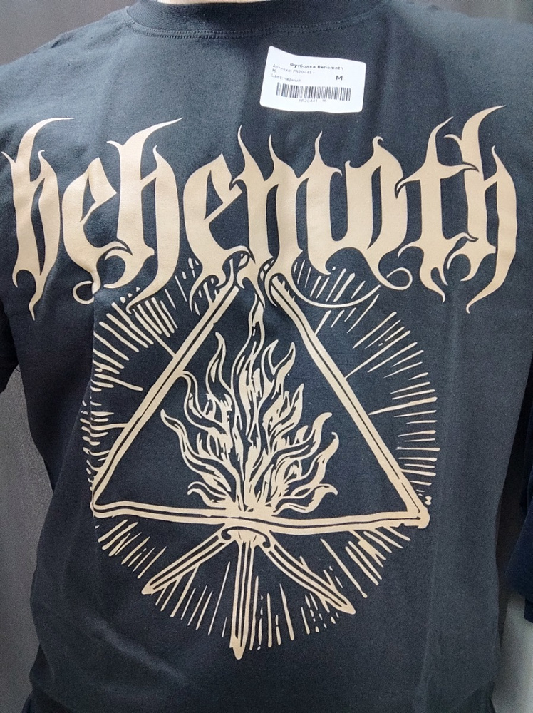 Футболка Мужской RockUp черный Короткий, размер 44, 46 Хлопок Логотип прямой Повседневный Россия ...