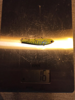 1496 отзыв на Раттлин Grows Culture ECLIPSE Mini Slight 75мм, цвет #69 от покупателей OZON