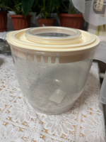 Емкость для блендера/миксера Elfplast, 2200 мл, Пластик, желтый купить c доставкой на OZON по ...