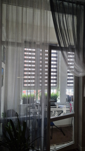 Рулонные шторы ЛюксЛайн PBML01 , размер 48х160 см, белый, Полиэстер купить c доставкой на OZON ...