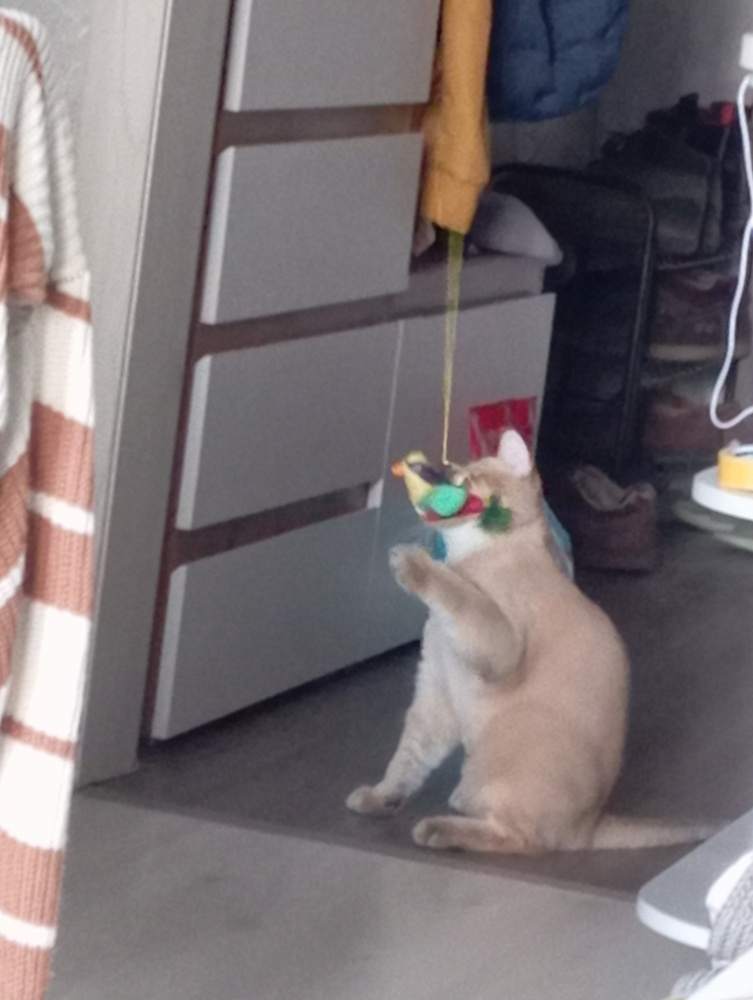 Central Тяга рулевая, арт. CR-N43, 1 шт. купить на OZON по низкой цене (1434776123)