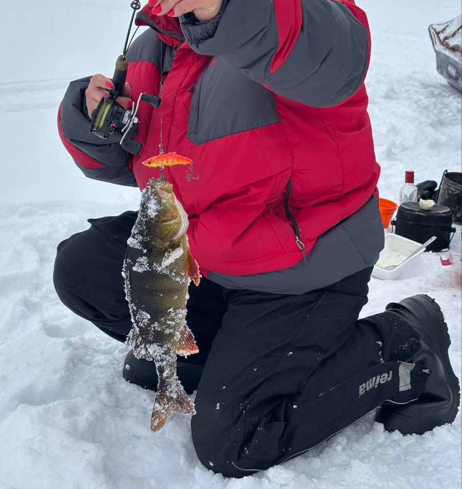 Воблер Раттлин (Rattlin) Narval Candy (Vib) 70, 1-6 м купить c ...