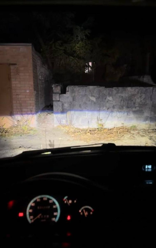 Лампа автомобильная Autoled-opt 12 В, 24 В, 2 шт. лампы купить c доставкой на OZON по низкой ...