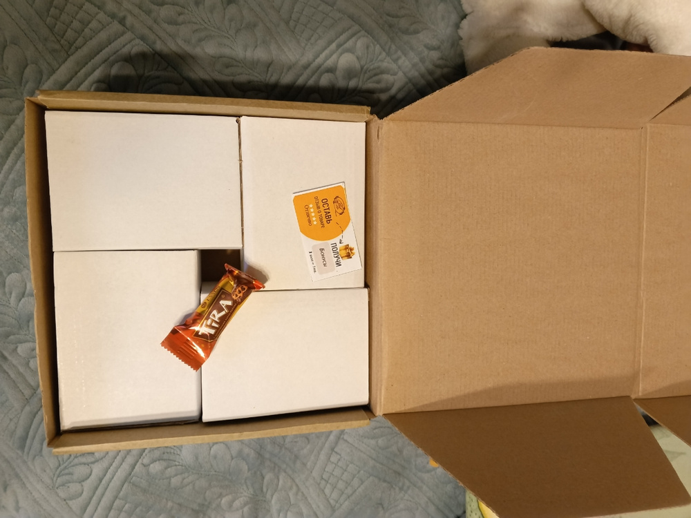 Банка для продуктов универсальная Owl Sov, 500 мл, 4 предм. купить c доставкой на OZON по низкой ...