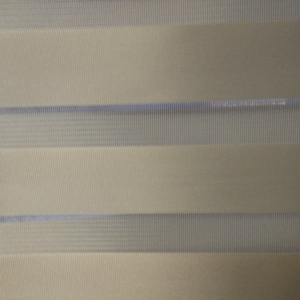 Рулонные шторы ЛюксЛайн PBML01 , размер 48х160 см, белый, Полиэстер купить c доставкой на OZON ...