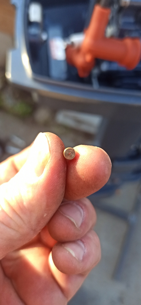 Мотор лодочный STELS 9.9HP со счетчиком купить c доставкой на OZON по низкой цене (1837156979)