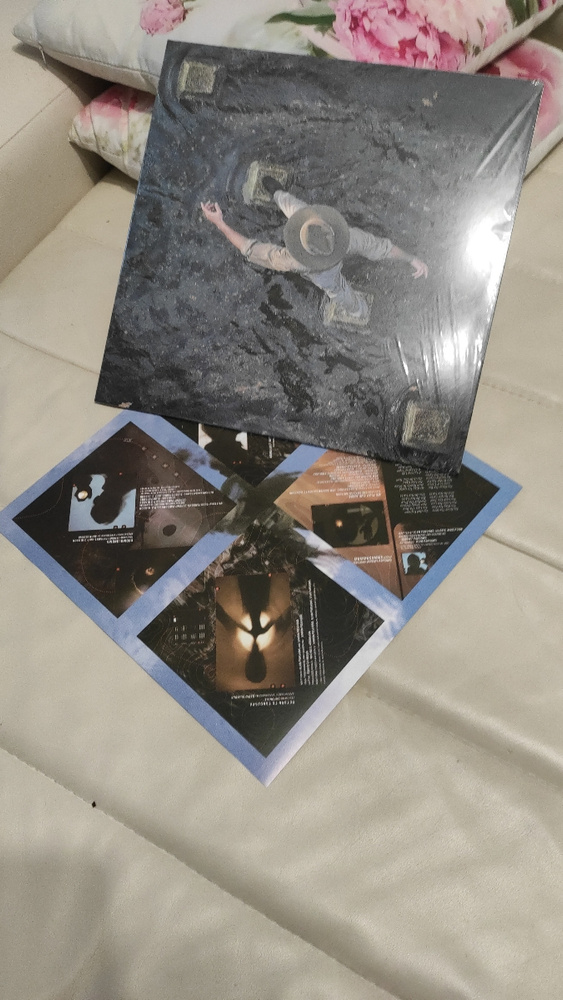 Alan Parsons - A Valid Path (2004/2025) LP винил, коллекционное издание ...