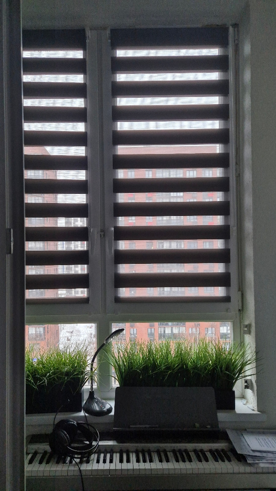 Рулонные шторы ЛюксЛайн PBML01 , размер 48х160 см, белый, Полиэстер купить c доставкой на OZON ...